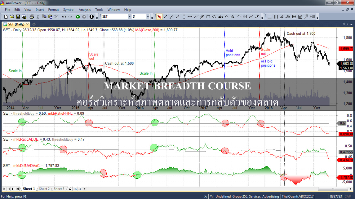 Market Breadth Course | ThaiQuants